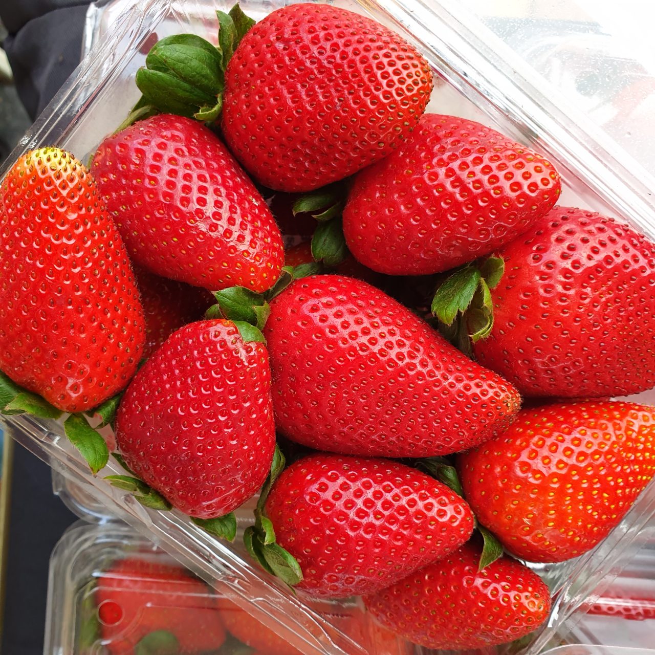 Mornington Main Street Market | Main Street Mornington